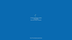 Windows Update Prank
